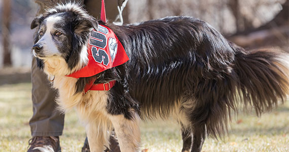 Master of Interdisciplinary Studies | SUU