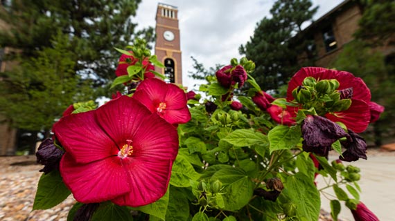 CAPS Awarded $100,000 Grant to Support Rural Mental Health - SUU