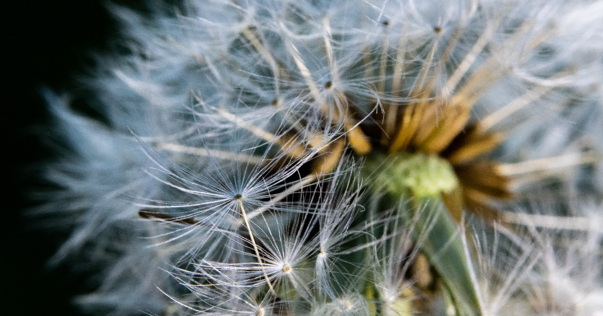 Satellite Salon Series Presents Winds of Imagination - SUU